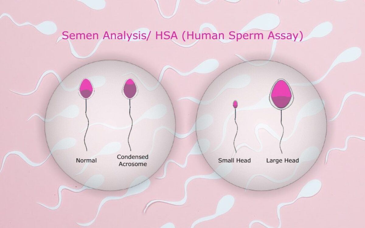 Healthy Human Semen
